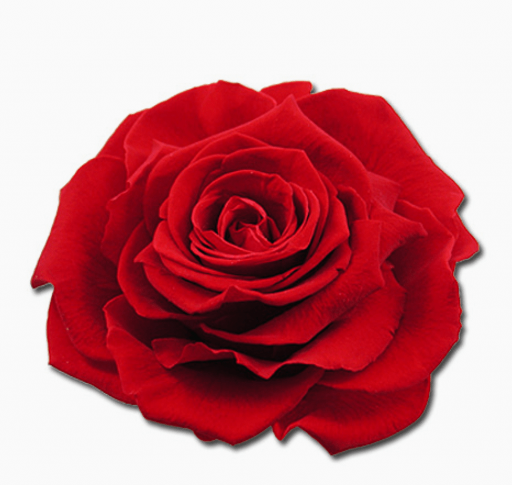 Rosas eternas en vaso de cristal base madera - Desayunosalacarta.com
